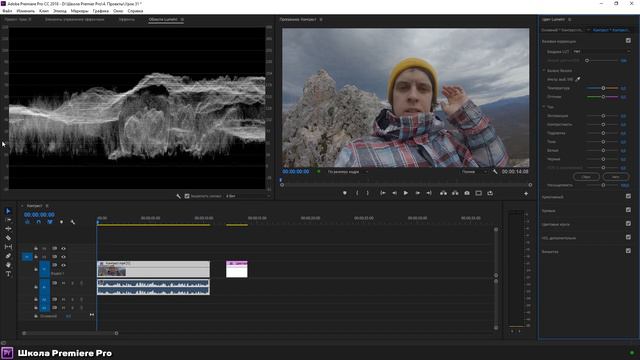 Основы цветокоррекции в Adobe Premiere Pro. Яркость и Контраст. Waveform