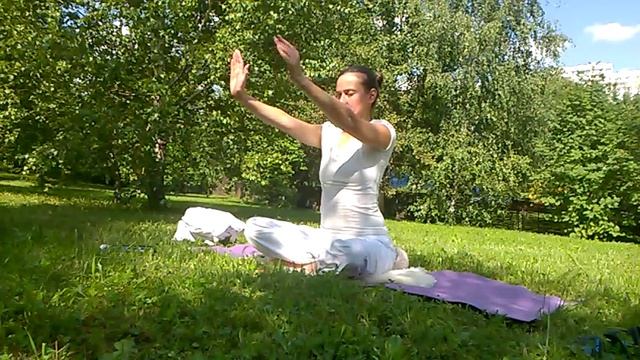 Очищение лимфатической системы (Укрепление иммунитета) – смотреть ...