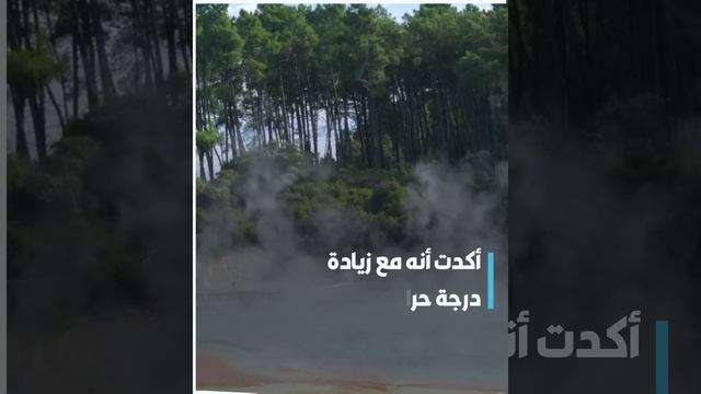 تحذيرات أممية من تناقص فرص العمل حول العالم!