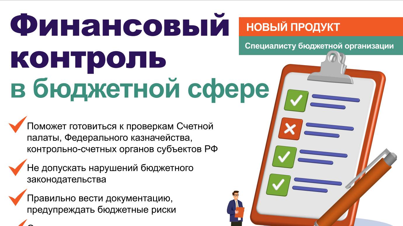 Финансовый контроль в бюджетной сфере