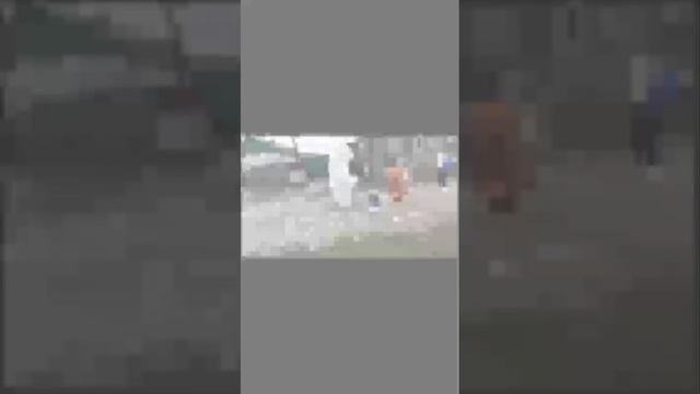 Видео от БЕЛЫЙ МИШКА МАКС! УРЮПИНСК_04