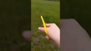 собираю грибы?     в видео есть как выглядит осиное гнездо