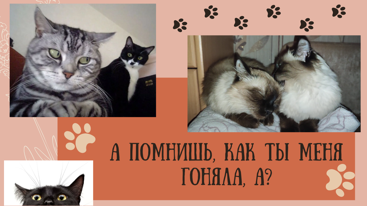 Когда вылизывая, припомнила старую обиду