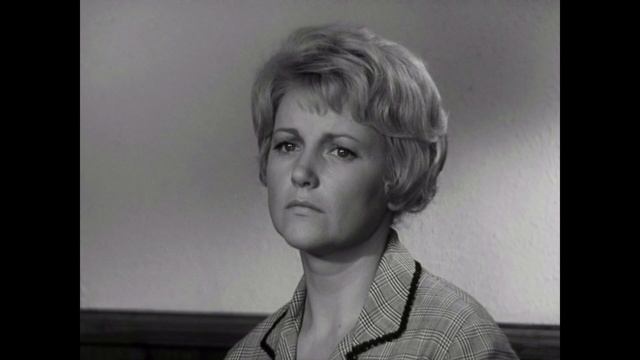 лучшие моменты 17 мгновений весны