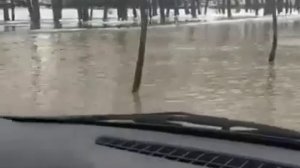 Кличко превращает Киев в помойку 