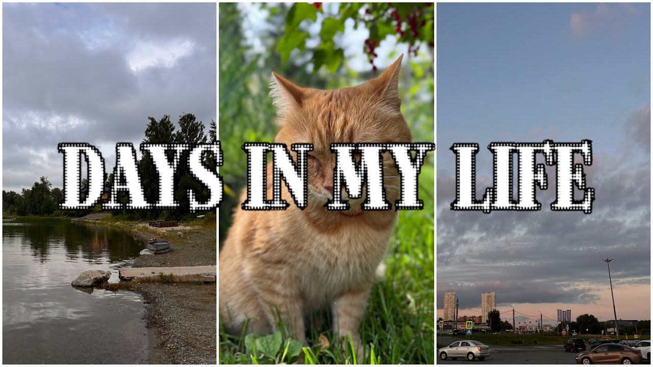 ВЛОГ: день на даче | подготовка к сезону