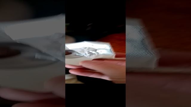 Обеспечиваем защиту той терьера от иксодовых клещей
