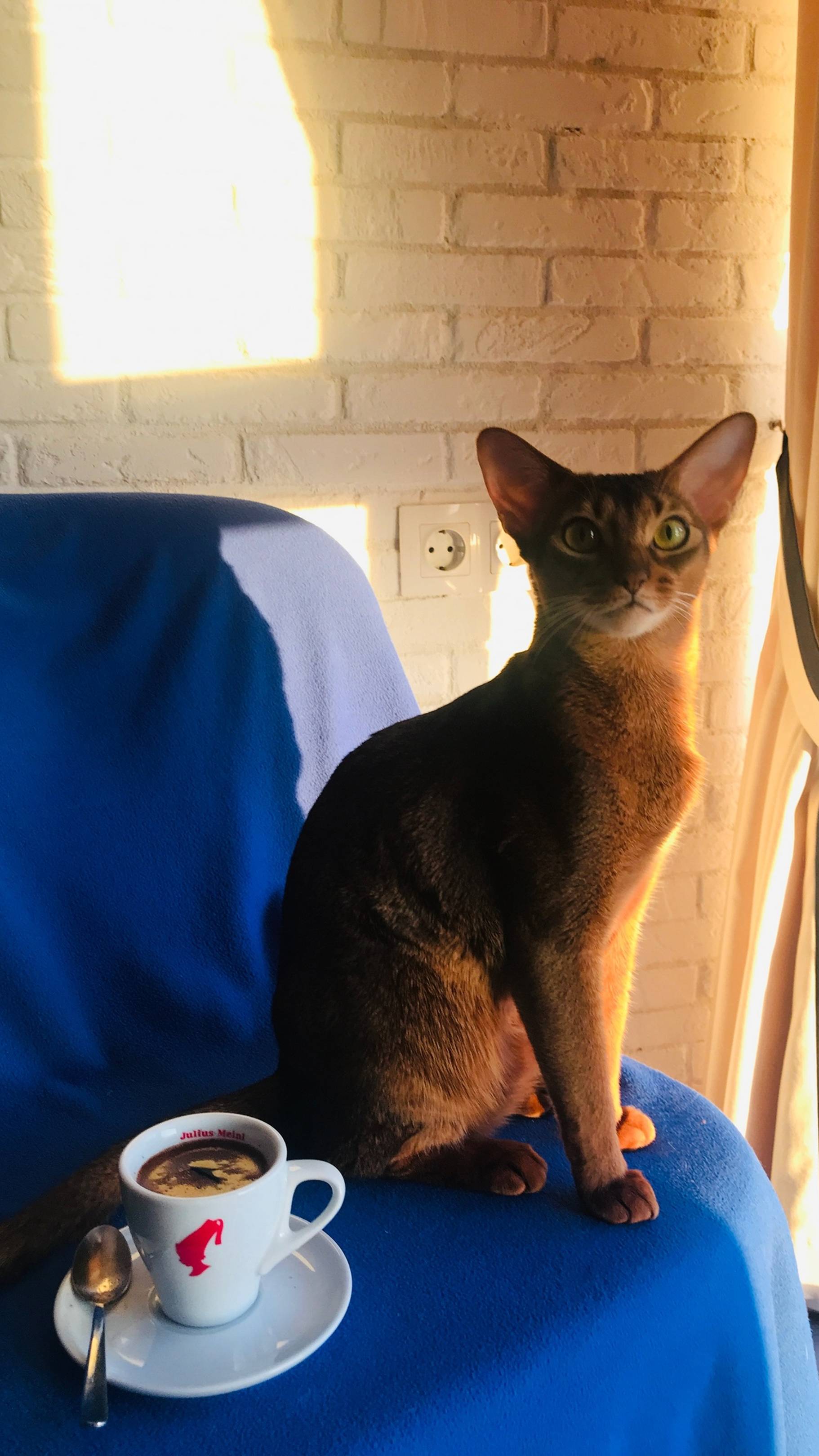 Кофе и Космос. )