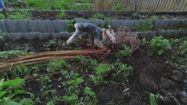 Когда женщина в гневе!!!.mp4