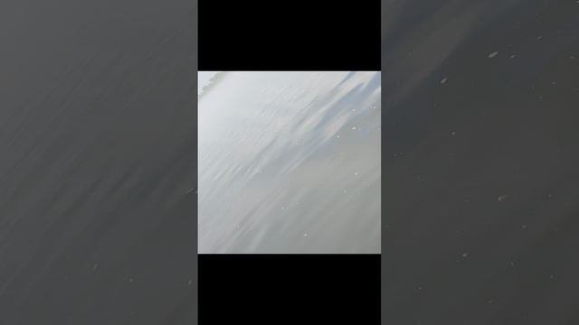 3
 часть рыбалки