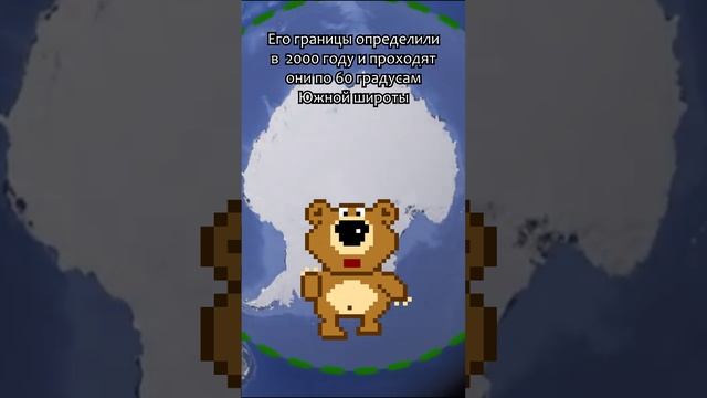 Мишка и Южный океан