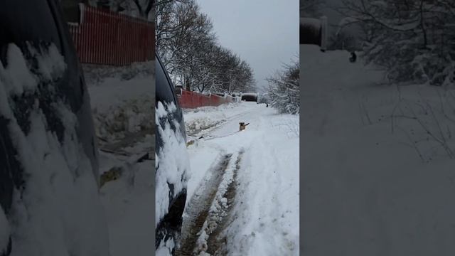 Снежный отвал для Нивы