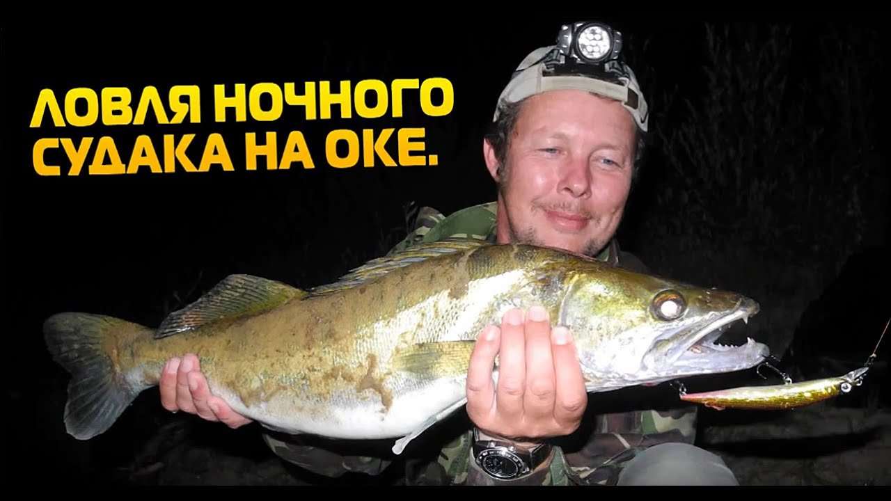 Ночной судак на Оке