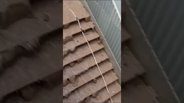 потоп в Манжерок резорт 3