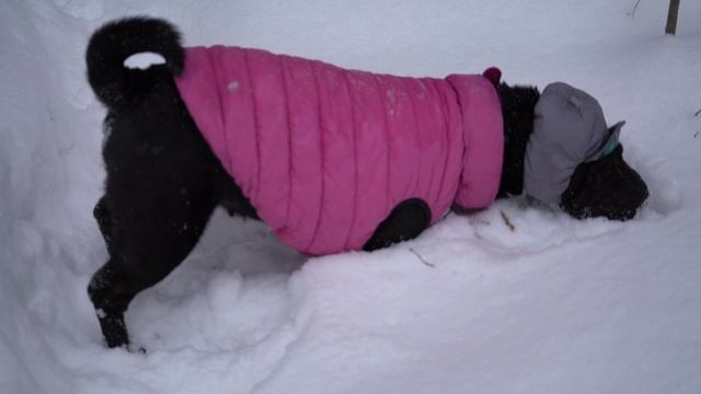 Инструкция о том, как бороться со скукой