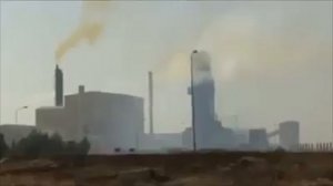 Reportage sur les oasis de Gabès menacées de disparition_ Tunisie