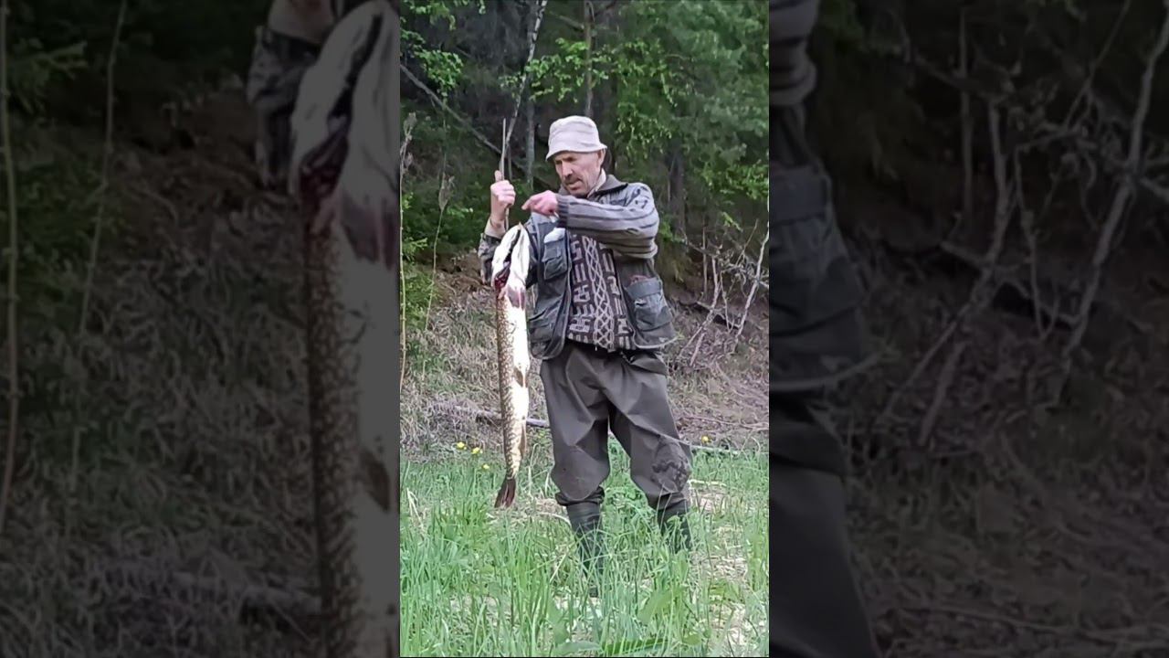 Удачная рыбалка на реке Чусовая в мае 2023 года