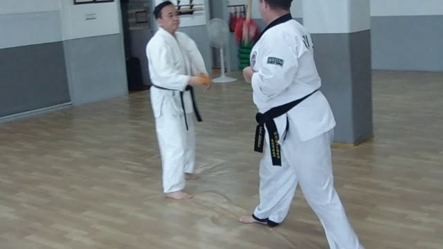 1, Тамбон принципы защиты.