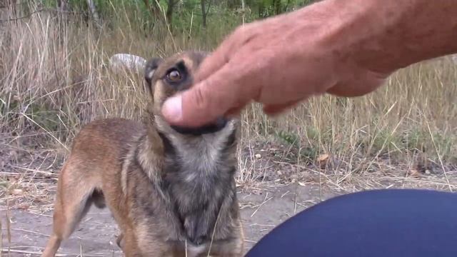 01_09_2020_Коротенькая велопрогулка.mp4