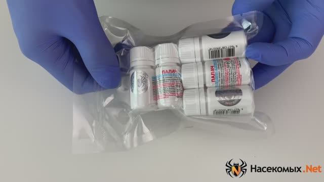 Палач средство от клопов, тараканов, блох, муравьев 6 мл