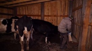 СТРОИМ ДОМ СВОЕЙ МЕЧТЫ В ДЕРЕВНЕ