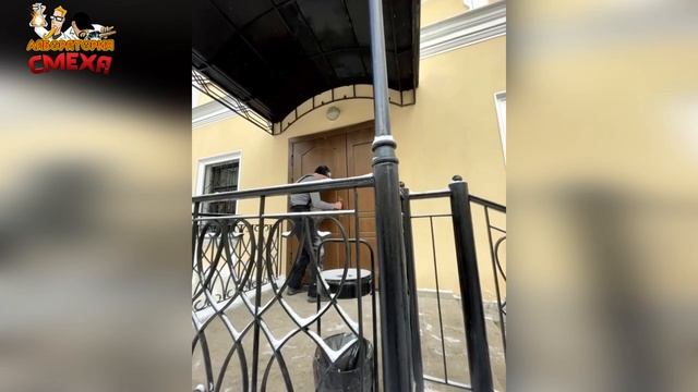 Повар и Курьер -  Пародия от Лазурных Драконов 青龍