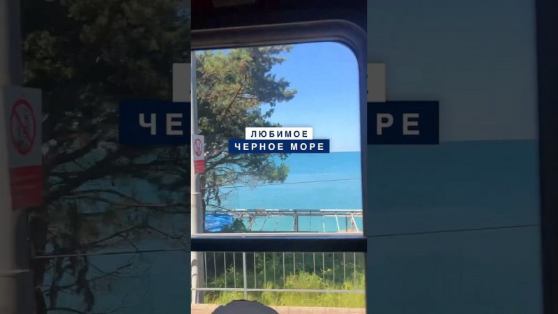 Чёрное море - вид из тамбура поезда #черноеморе  #лазаревское  #лазаревское2024  #черное_море