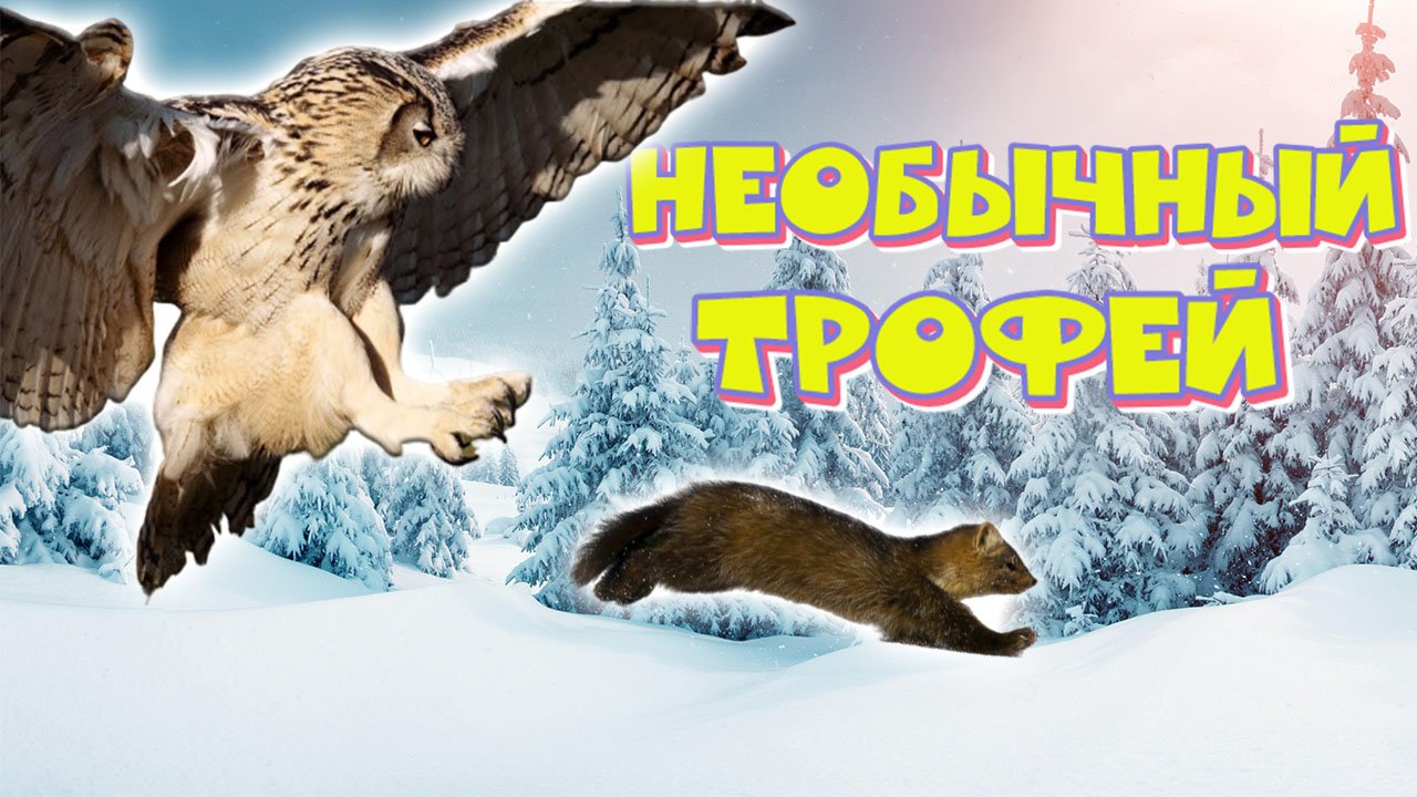 Охота на Соболя | Капканы: Необычный Трофей в Капкане