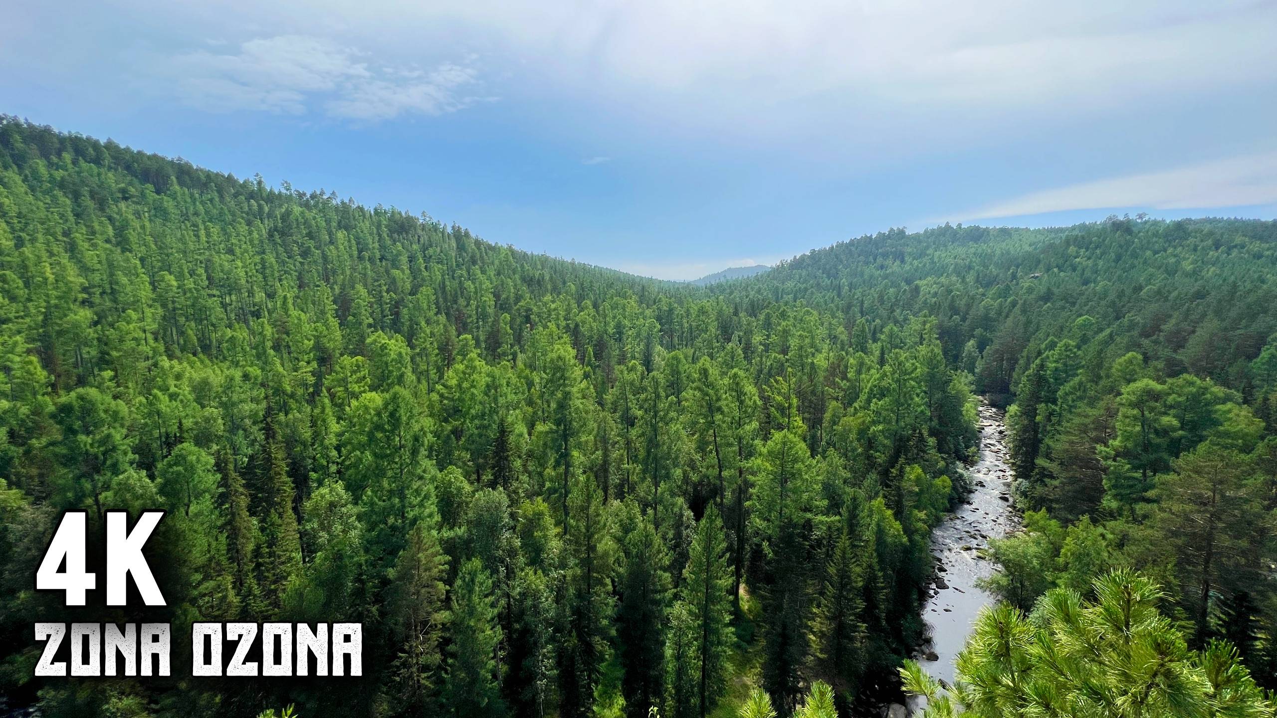 Кузнечики поют громче птиц. Шум таёжной реки под скалой