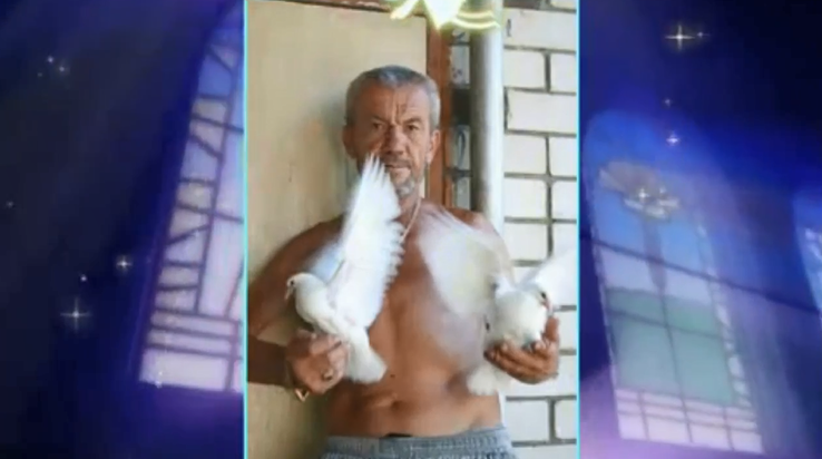 Белые голуби