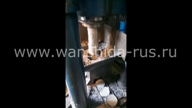 Пресс брикетировочный  Wanshida  Y83-250.mp4