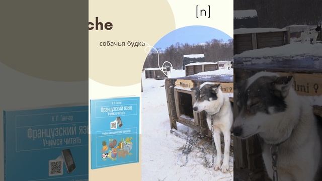 Французский язык. Буква Nn
