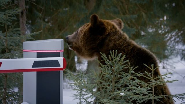 Шлагбаум для эксплуатации в России