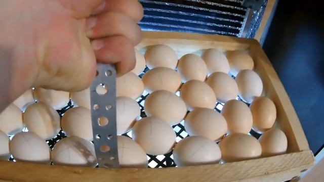 Первая закладка яиц в мой самодельный инкубатор..mp4