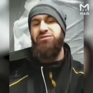 Вот он лес