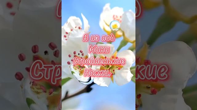 Молодость
