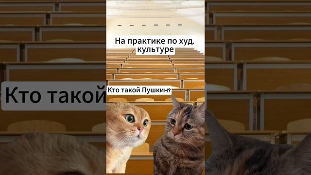 cat meme обычный день коты #shorts #rec #мемы #гараж #угар #приколы #юмор #memes