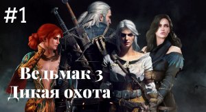 Прохождение Ведьмак 3 Дикая Охота The Witcher 3 Wild Hunt — Часть 1.mp4