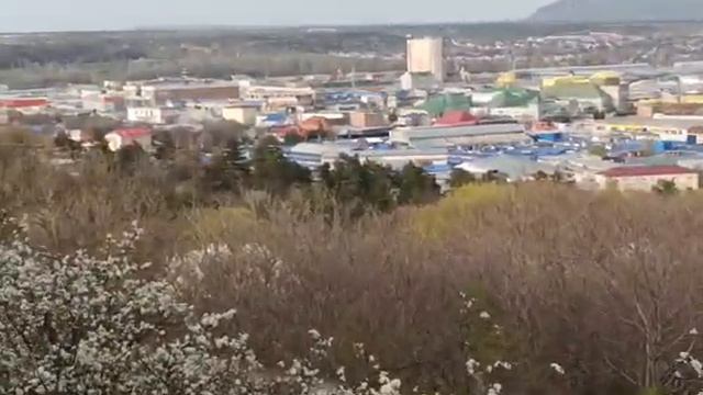 весенняя прогулка на гору