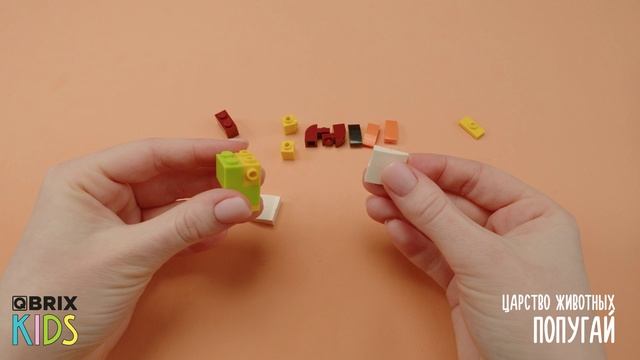 Собираем попугая из конструктора QBRIX KIDS - коллекция детских конструкторов с видеоинструкциями