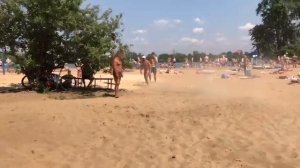 ПЫЛЬ от Песка завезенного в рамках Благоустройства оз Белое, Косино, ВАО, г.Москвы..mp4