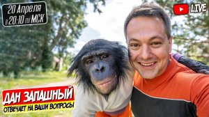 СТРИМ ИЗ АСТАНЫ С ДАНОМ ЗАПАШНЫМ / О текущих делах и предстоящих гастролях в столице 20.04.2024.