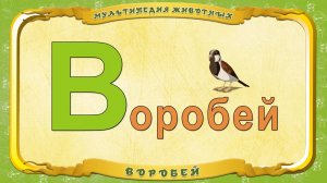 Мультипедия животных. Буква В - Воробей