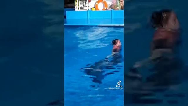 невероятная красота- дружба с дельфинами