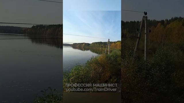 Карелия из окна локомотива