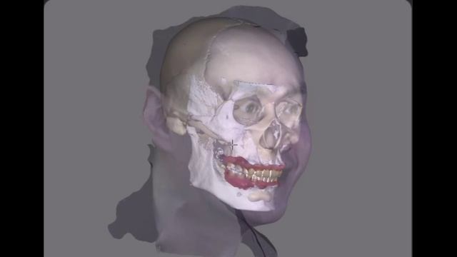 Артикуляция в Экзокаде