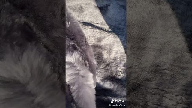 Меховая Накидка из натуральной Овчины На резинке с капюшоном. Серебро.