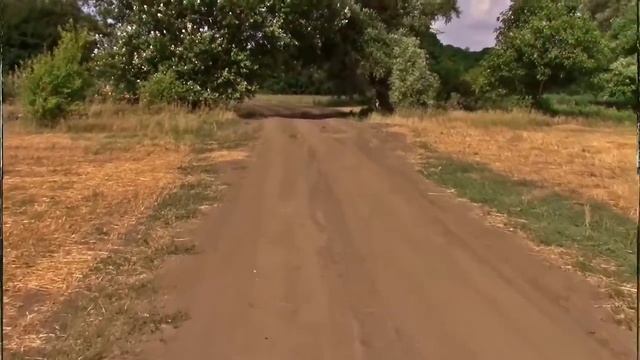 11_07_2020_Велопрогулка в село Высоцкое к Св.колодцу.mp4