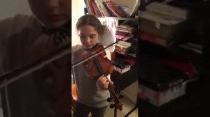 Eva violin