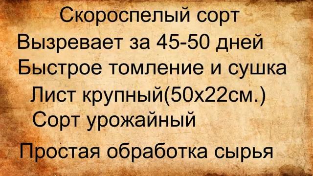 Дегустация Берли Краснодар.mp4